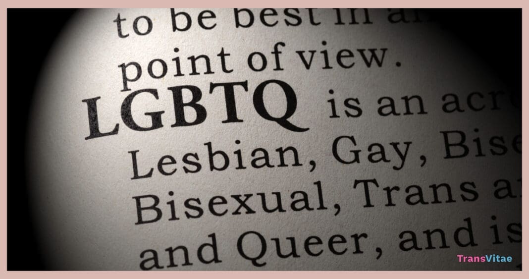 LGBTQ+ Ally 101: Understanding Key Terminology | Transvitae