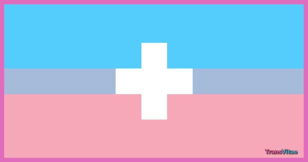 Transmedicalism and Its Effects on Transgender Unity